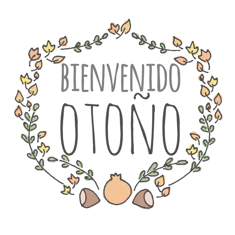 12 imágenes de Bienvenido Otoño, fotos gratis
