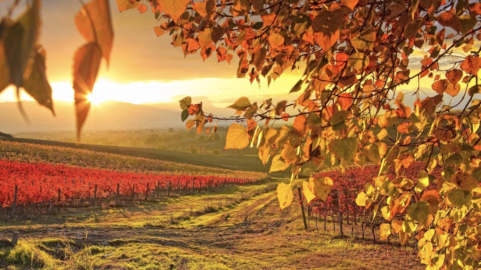 Otoño Impresionantes Fotos E Imágenes De Otoño En Gratistodo