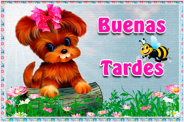 Gifs de Buenas tardes, imágenes animadas de Buenas Tardes Gifs de Buenas tardes, imágenes animadas de Buenas Tardes