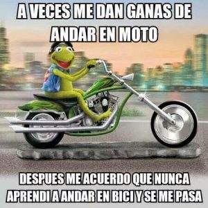 Memes de la Rana René con frases "a veces" en imágenes graciosas