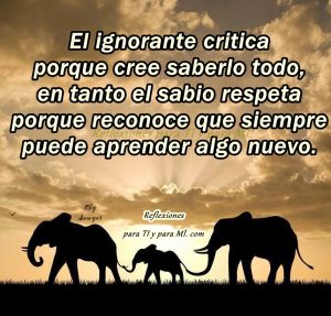Imágenes de Criticar con frases de reflexión de criticar a los demas